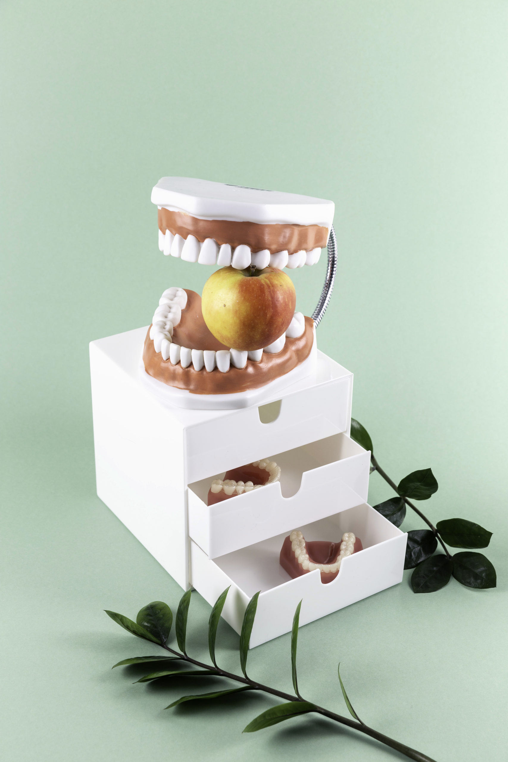 Zahnmedizin – Zahnarzt Dr. Shafé